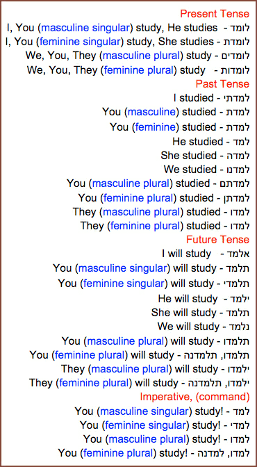 Hebrew Grammar - Conjugating the verb "study."